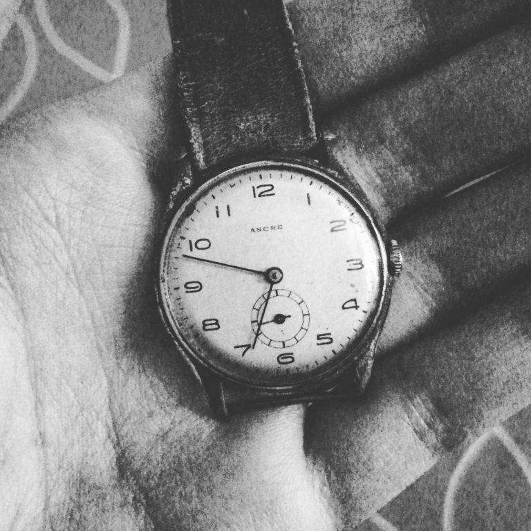 Gabriella Paci, Sfogliando il tempo - Siena News